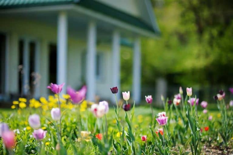 Add Spring Color - Great Ideas to Brighten Up the Home's Exterior
