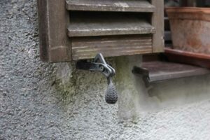 Shutter Dogs | Helpful Guide | Info & Pictures of Exterior Shutter Dog ...