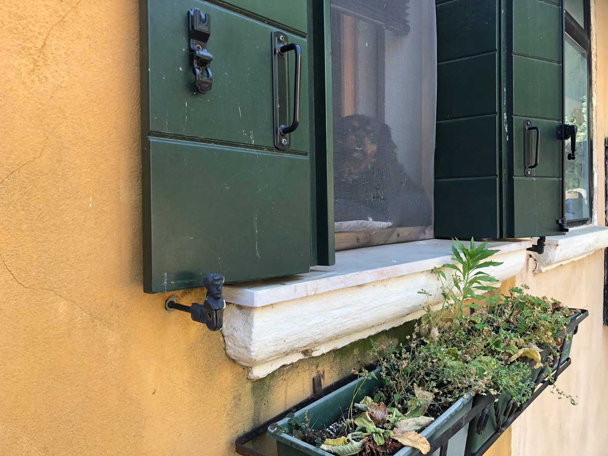 Exploring the Function and Beauty of Exterior Italian Shutters ...