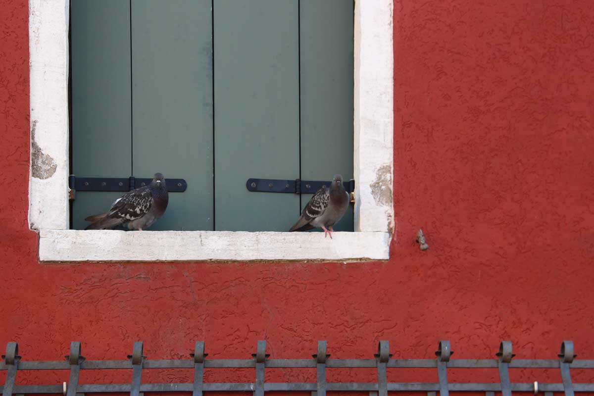 Exploring the Function and Beauty of Exterior Italian Shutters ...
